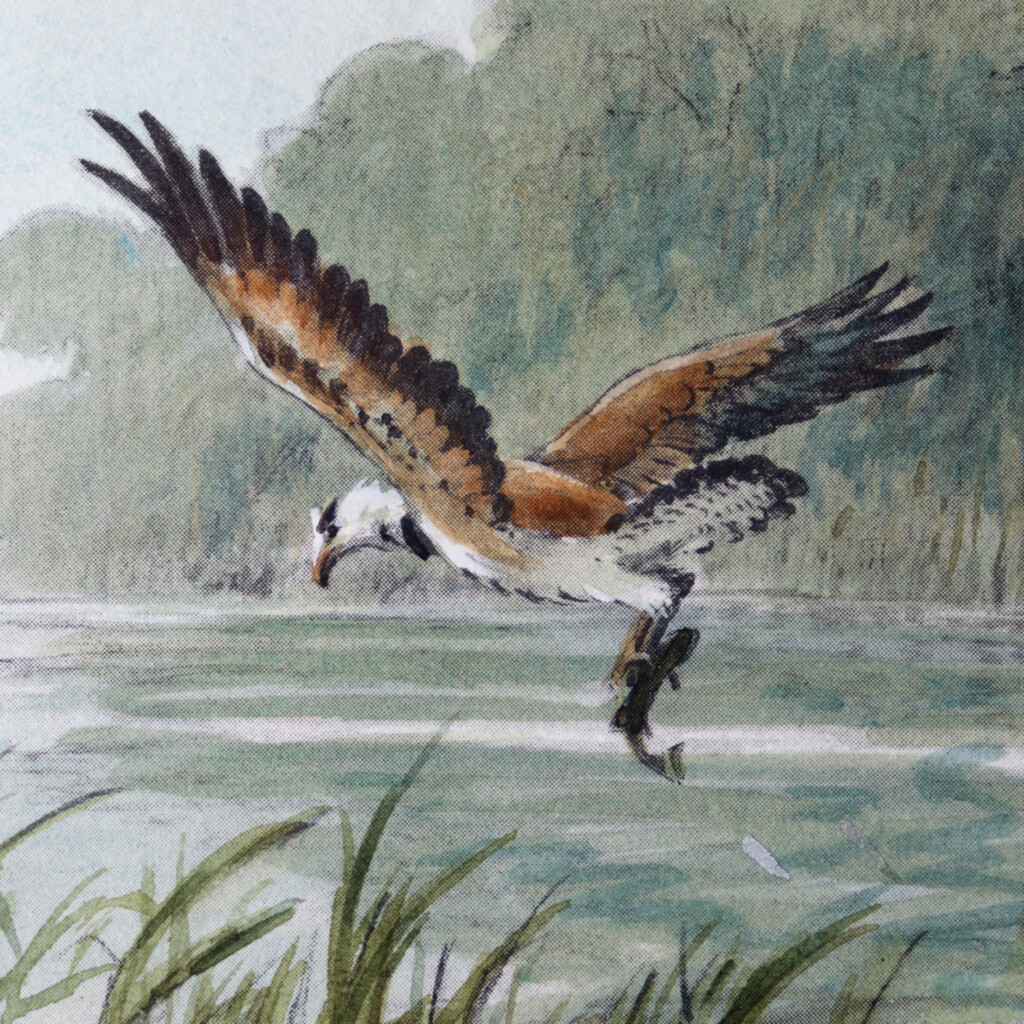 Snaffles 'Fishing Private’ Card - Mark Jones Antiques